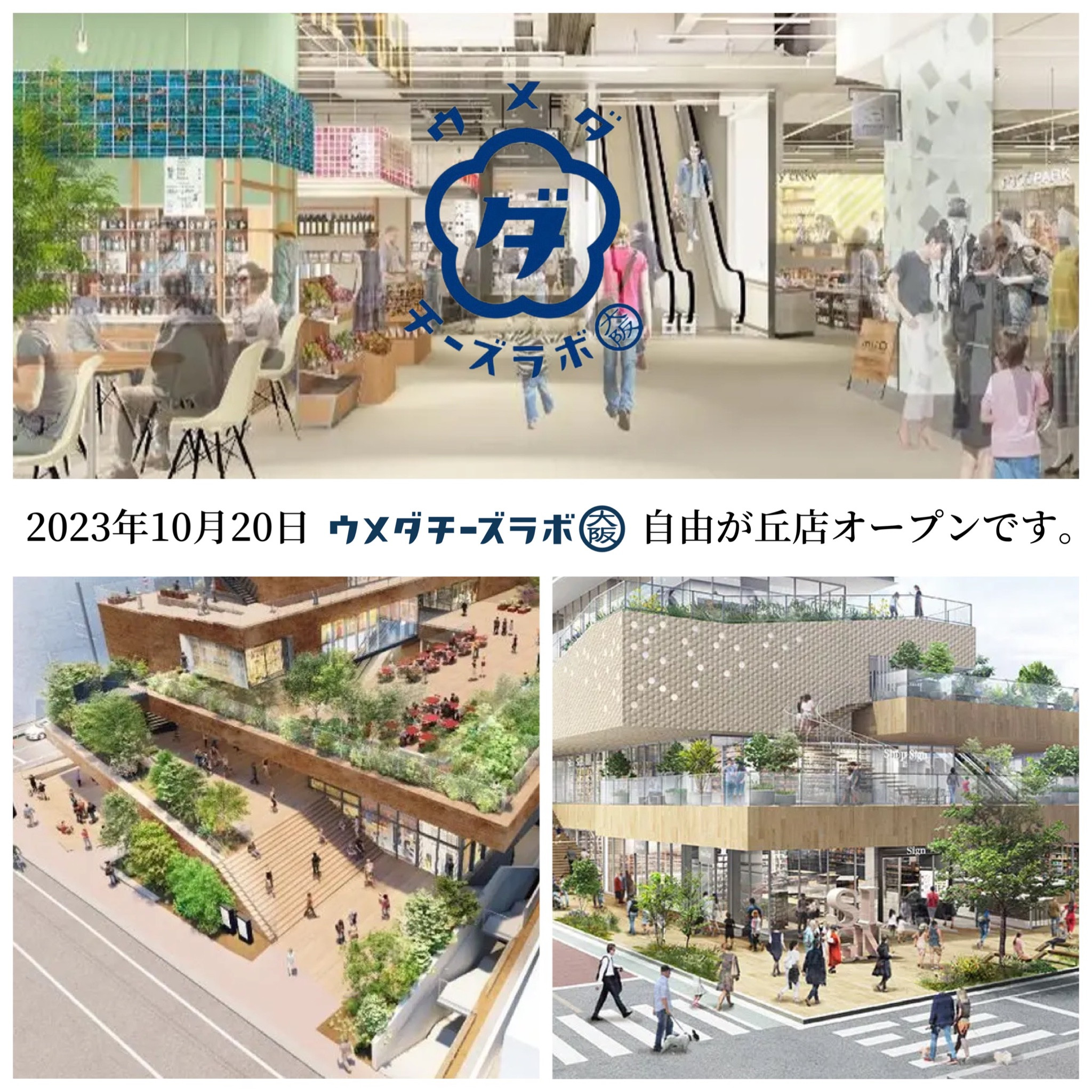 東京・自由が丘 JIYUGAOKA de aone店 オープンのお知らせ - ウメダチーズラボ公式サイト ｜ 新感覚チーズスイーツ
